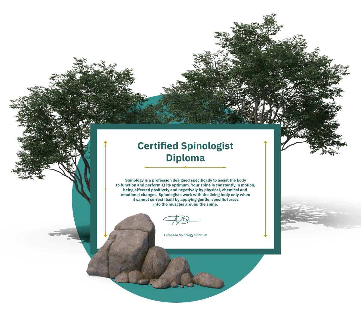 Certified Spinologist Diploma - European Spinology Tutorium